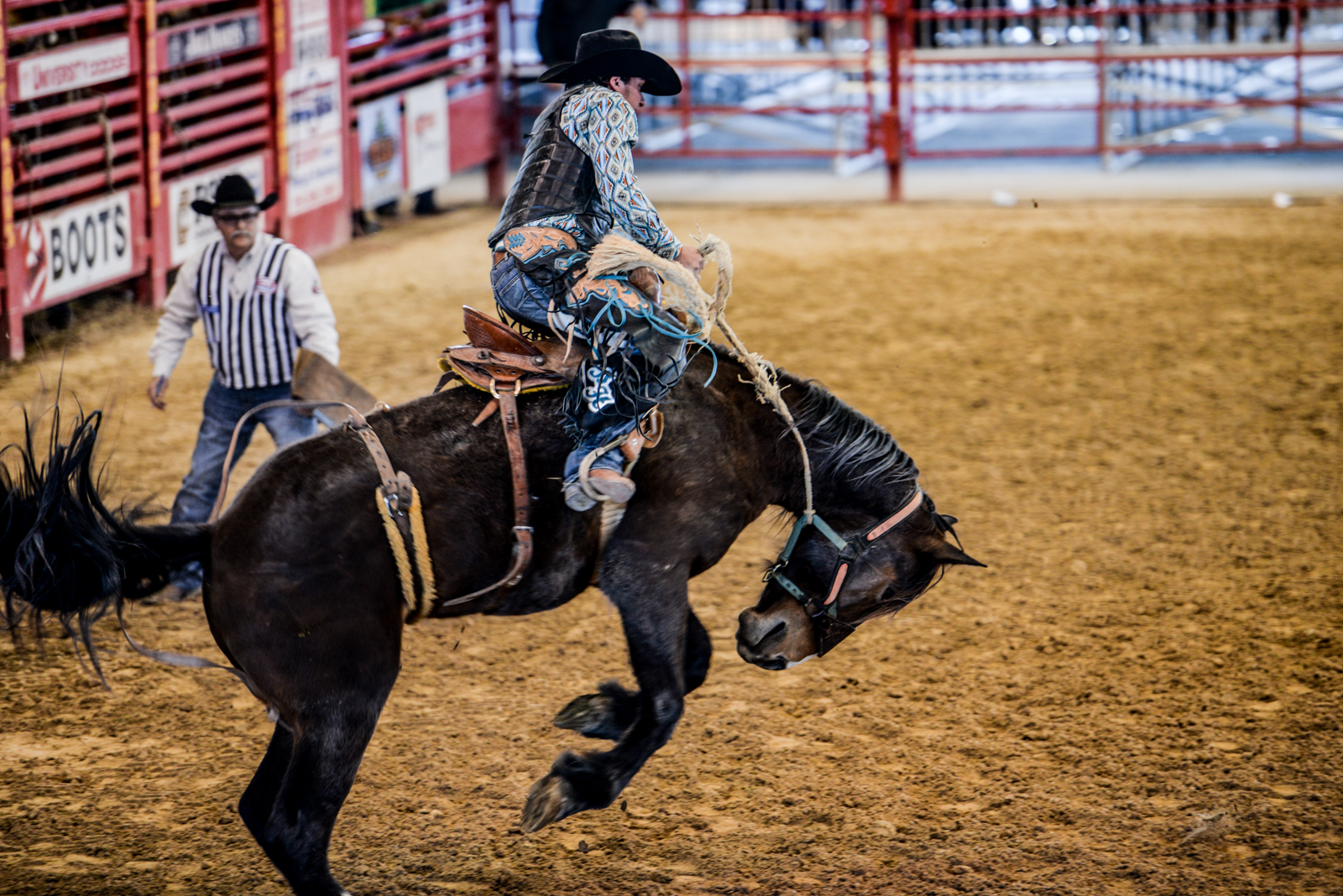 Bucking Bronco Shutterbug
